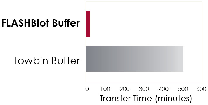 FlashBlot Transfer Buffer: fast gel to membrane transfer buffer