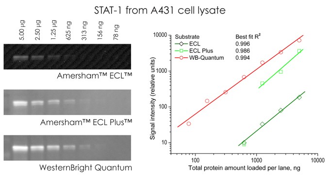 Advansta WesternBright Quantum chemiluminescent HRP substrate